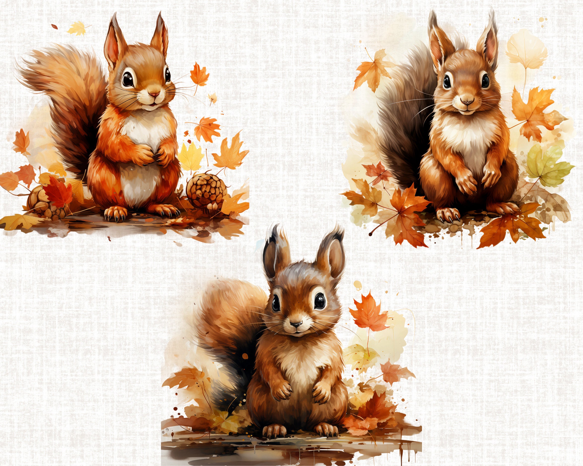 Autumn Squirrel Clipart Cute Squirrel Images Watercolor - Etsy