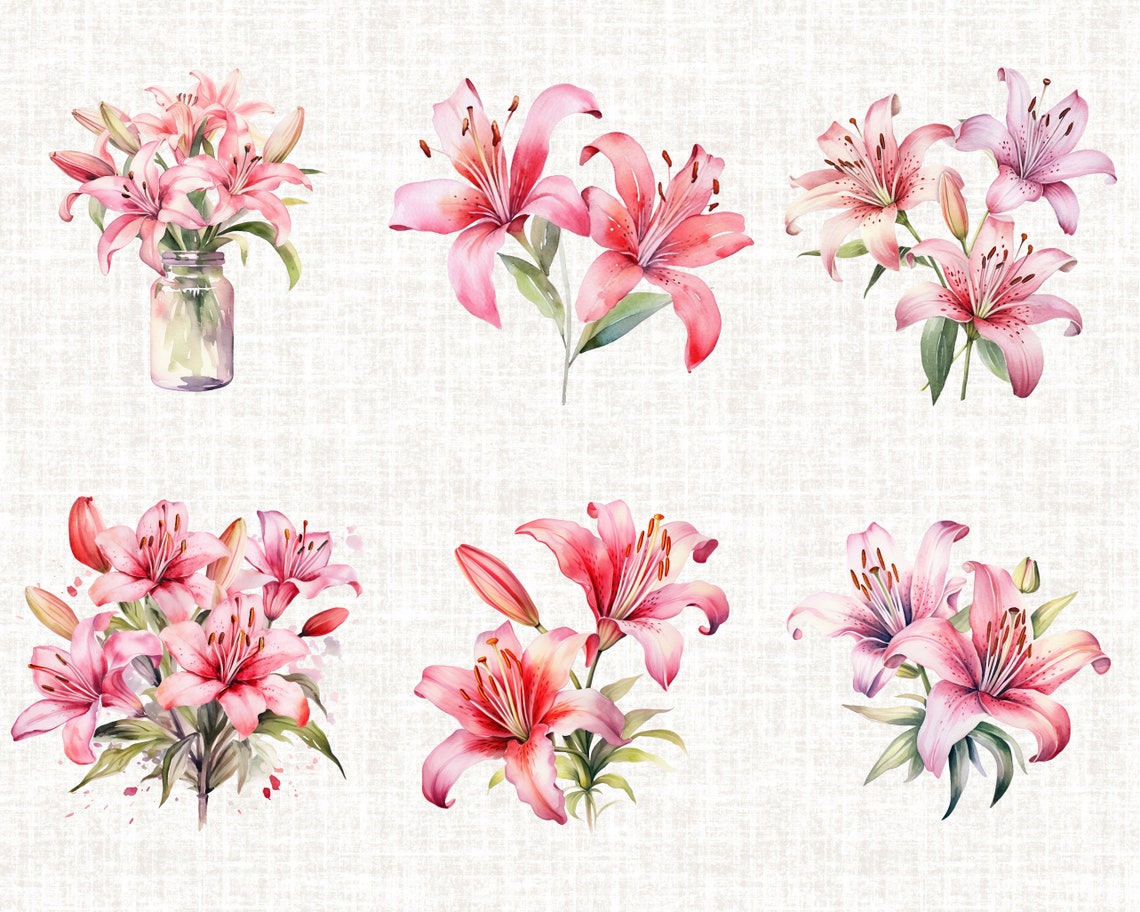 Pink Lily Clipart Watercolor Tiger Lily Clipart Bundle Pink - Etsy