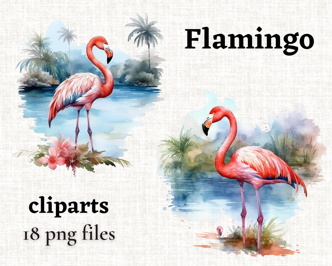Flamingo Clipart, Cute Flamingo for Sublimation, Pink Flamingo PNG ...