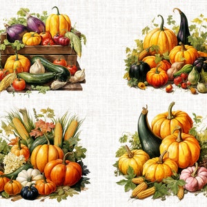 Autumn Harvest Clipart, Fall Vegetables Clipart, Autumn Veggies ...