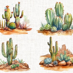 Cactus Clipart Bundle, Watercolor Cactus PNG, Cactus in the Desert PNG ...