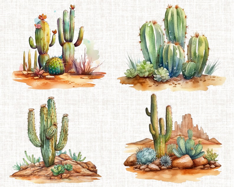 Cactus Clipart Bundle Watercolor Cactus PNG Cactus in the - Etsy