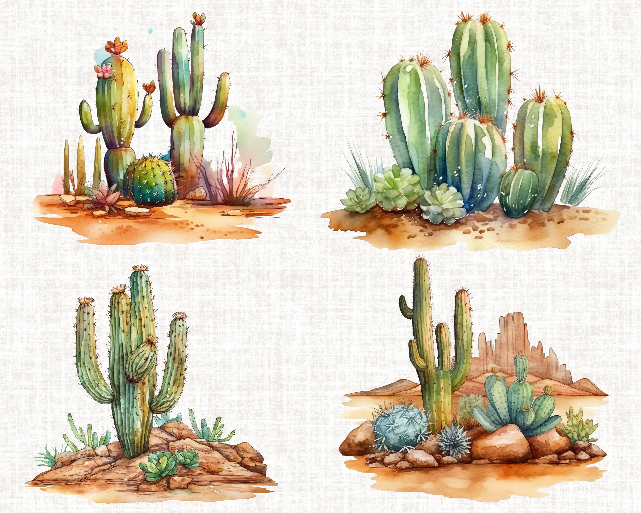 Cactus Clipart Bundle Watercolor Cactus PNG Cactus in the - Etsy