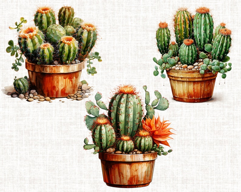 Potted Cacti Clipart Bundle Watercolor Cactus Clipart Cactus - Etsy