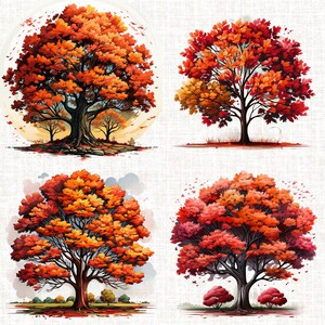 Autumn Tree Clipart, Fall Tree Graphics, Fall Leaves Illustration ...