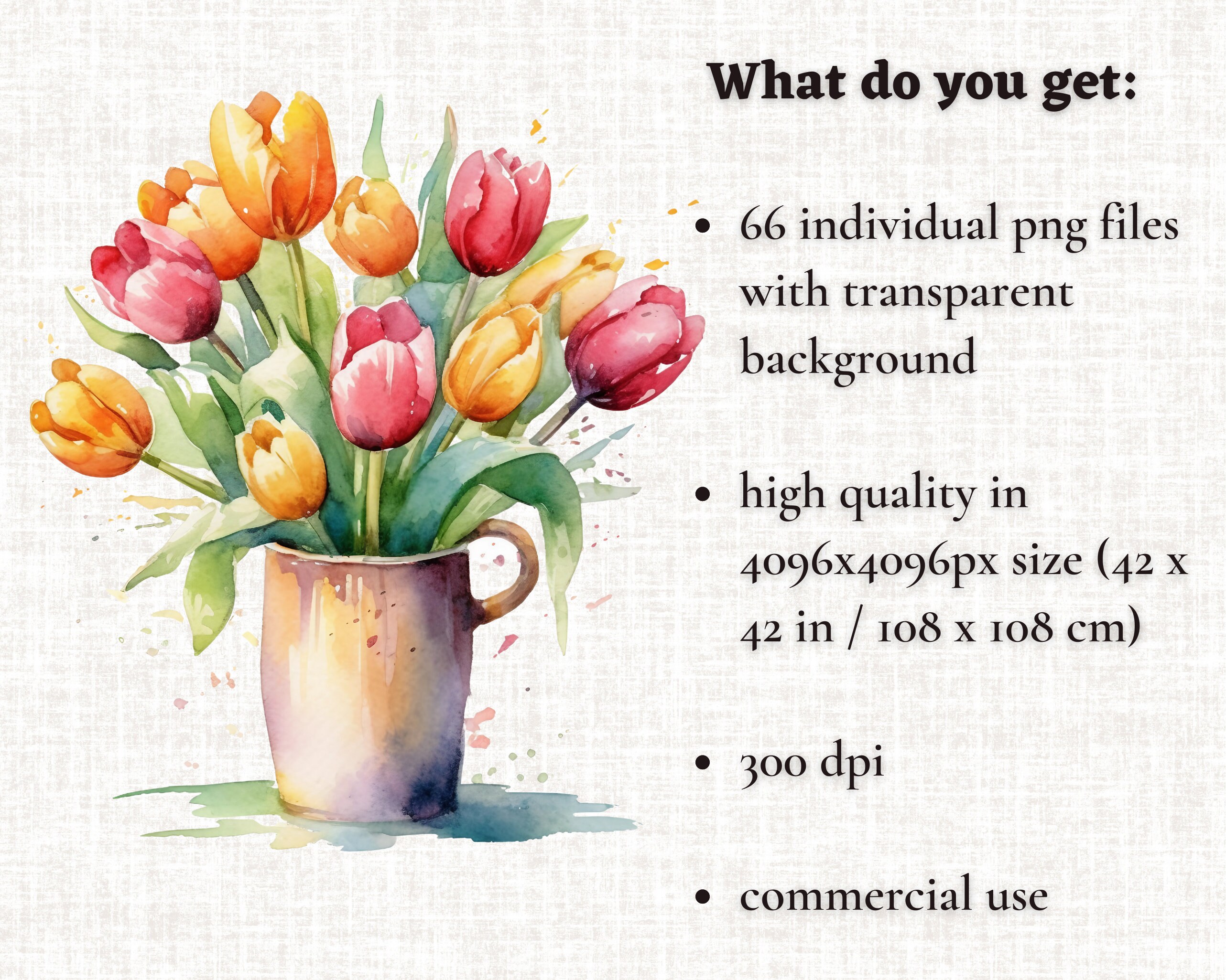 Tulip Clipart Watercolor Tulips PNG Floral PNG Summer - Etsy