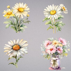 Daisy Clipart Bundle, Watercolor Daisy PNG, White Flower Clipart ...