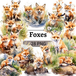 Watercolor Foxes Clipart Bundle Woodland Animals Graphics Forest Animal ...
