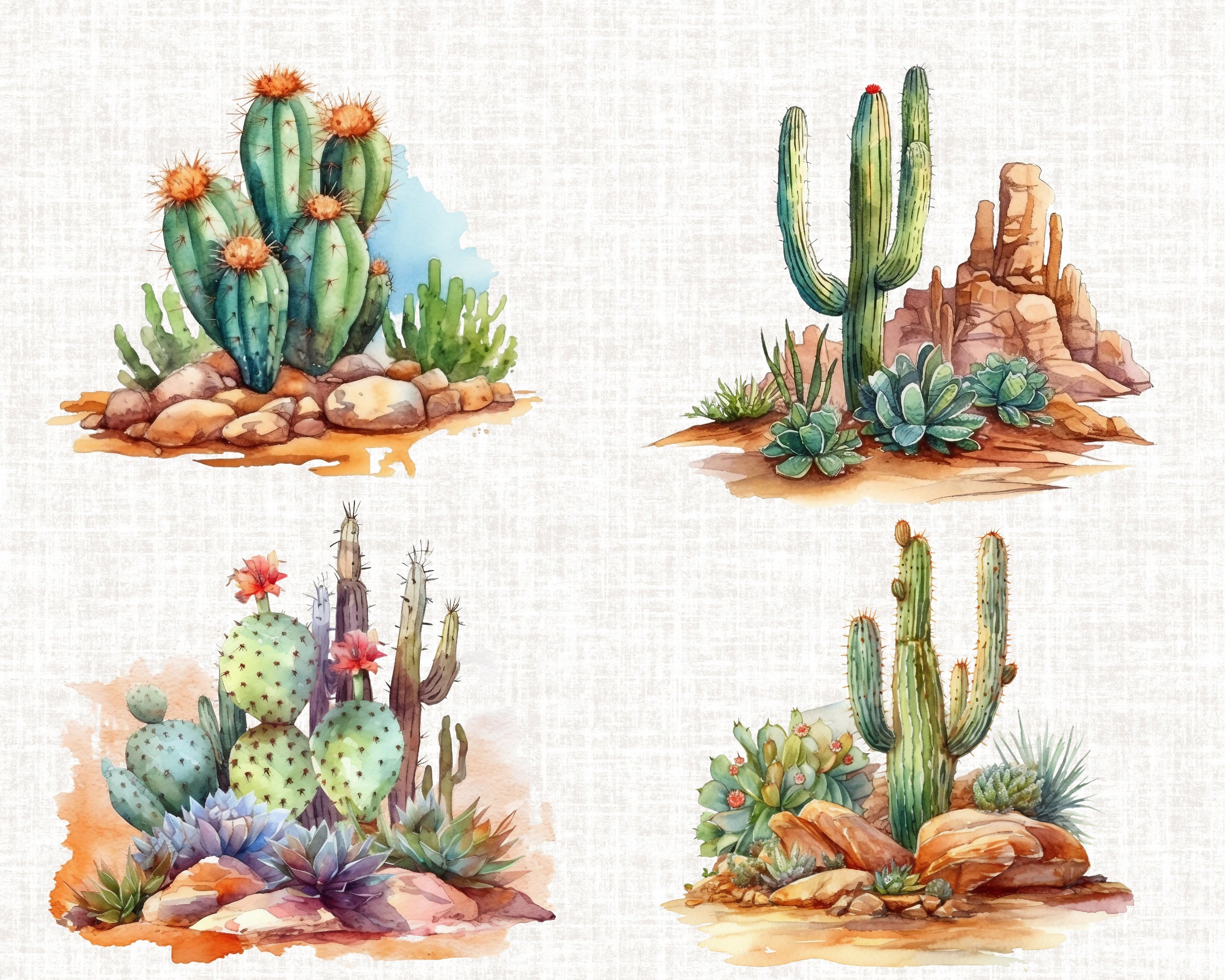 Cactus Clipart Bundle Watercolor Cactus PNG Cactus in the - Etsy