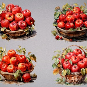 Apple Basket Clipart Bundle, Basket With Apples PNG, Autumn Harvest ...