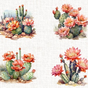 Cactus Clipart, Watercolor Cactus Clipart Bundle, Desert Cacti PNG ...