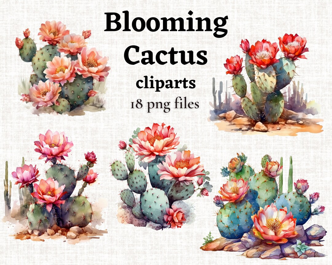 Cactus Clipart, Watercolor Cactus Clipart Bundle, Desert Cacti PNG ...
