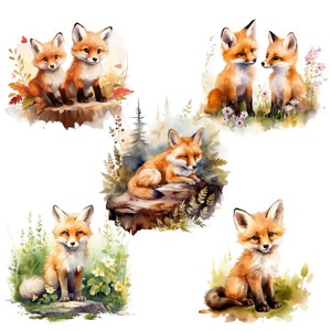 Watercolor Foxes Clipart Bundle Woodland Animals Graphics Forest Animal ...