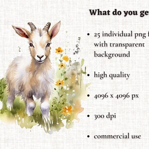 Baby Goat Clipart, Watercolor Floral Goats in the Meadow, Spring Baby ...