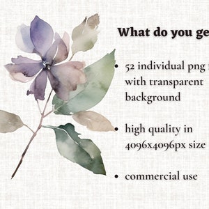 Greenery Watercolor Clipart, Botanical Clipart Bundle, Greenery Bundle ...