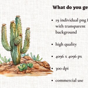 Cactus Clipart Bundle, Watercolor Cactus PNG, Cactus in the Desert PNG ...