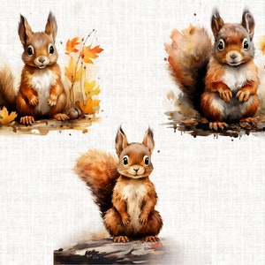 Autumn Squirrel Clipart, Cute Squirrel Images, Watercolor Squirrel PNG ...