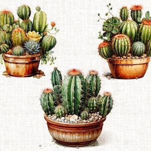 Potted Cacti Clipart Bundle Watercolor Cactus Clipart Cactus - Etsy