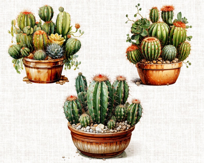 Potted Cacti Clipart Bundle Watercolor Cactus Clipart Cactus - Etsy