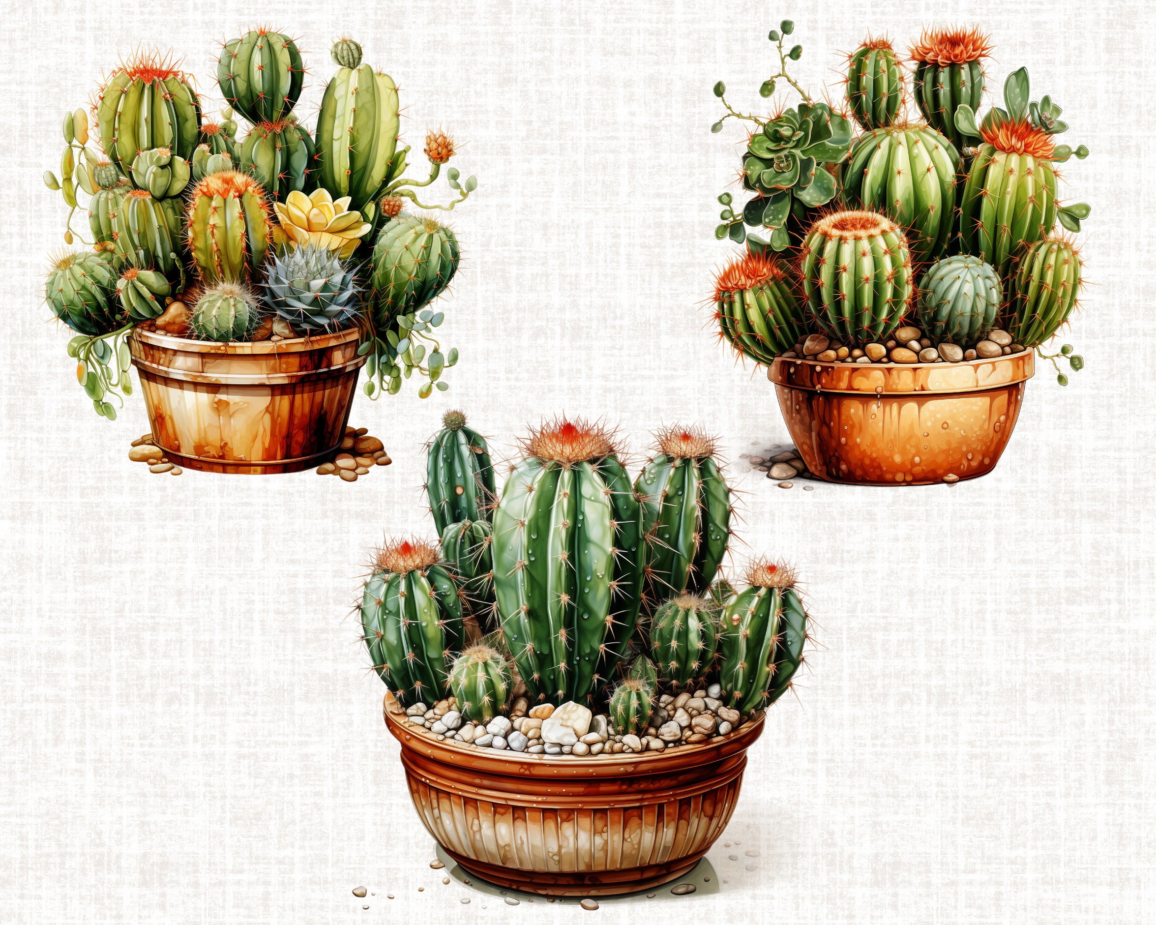 Potted Cacti Clipart Bundle Watercolor Cactus Clipart Cactus - Etsy