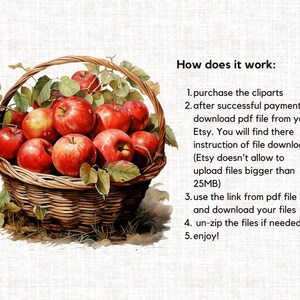 Apple Basket Clipart Bundle, Basket With Apples PNG, Autumn Harvest ...