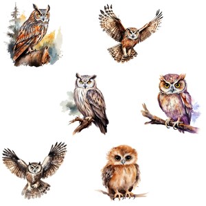 Watercolor Owl Clipart Bundle Woodland Animals Graphics Forest Animal ...