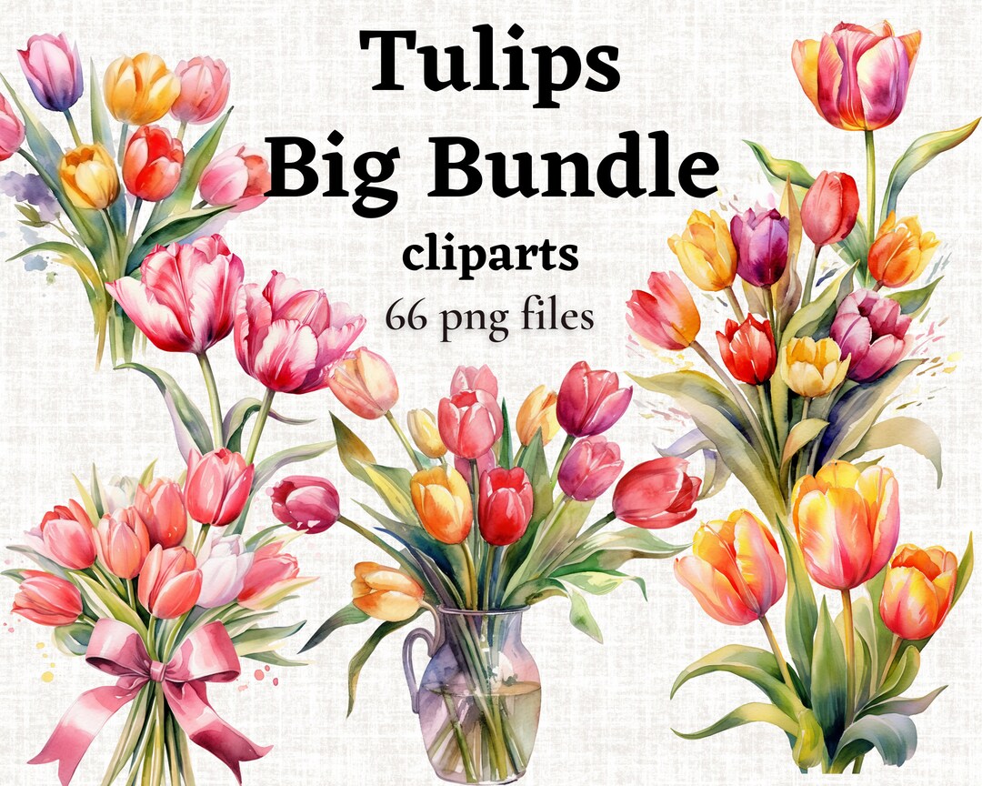 Tulip Clipart, Watercolor Tulips PNG, Floral PNG, Summer Flowers ...