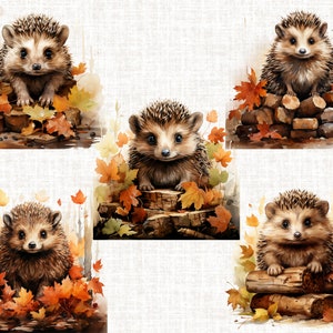 Autumn Hedgehog Clipart Bundle Happy Hedgehog Clipart Cute - Etsy