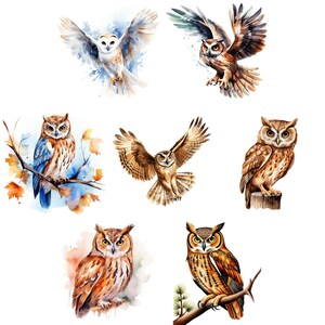Watercolor Owl Clipart Bundle Woodland Animals Graphics Forest Animal ...