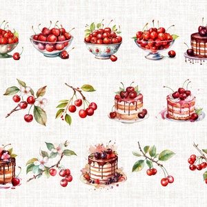Watercolor Cherry Clipart Bundle Cherry-themed PNG Illustrations High ...