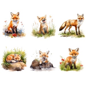 Watercolor Foxes Clipart Bundle Woodland Animals Graphics Forest Animal ...