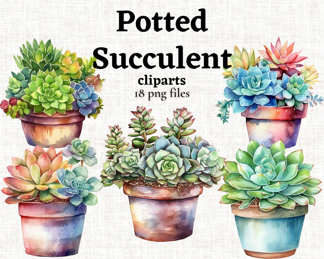 Succulent in a Pot Clipart, Watercolor Succulent Cactus PNG Clipart ...