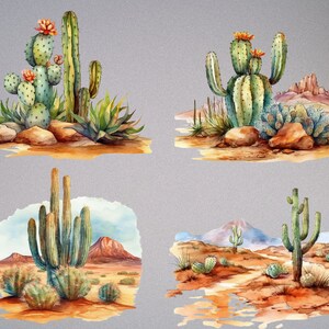 Cactus Clipart Bundle, Watercolor Cactus PNG, Cactus in the Desert PNG ...