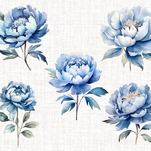 Dusty Blue Peonies Clipart, Dusty Blue Flowers PNG, Watercolor Blue ...