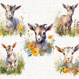 Baby Goat Clipart, Watercolor Floral Goats in the Meadow, Spring Baby ...