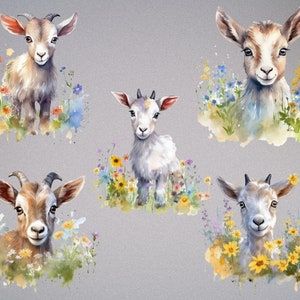Baby Goat Clipart, Watercolor Floral Goats in the Meadow, Spring Baby ...