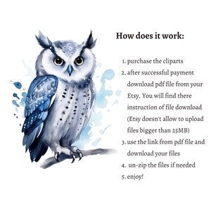 Watercolor Owl Clipart Bundle Woodland Animals Graphics Forest Animal ...