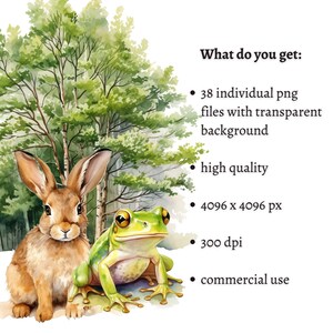 Woodland Animals Clipart Bundle Watercolor Forest Animal Clip Art ...