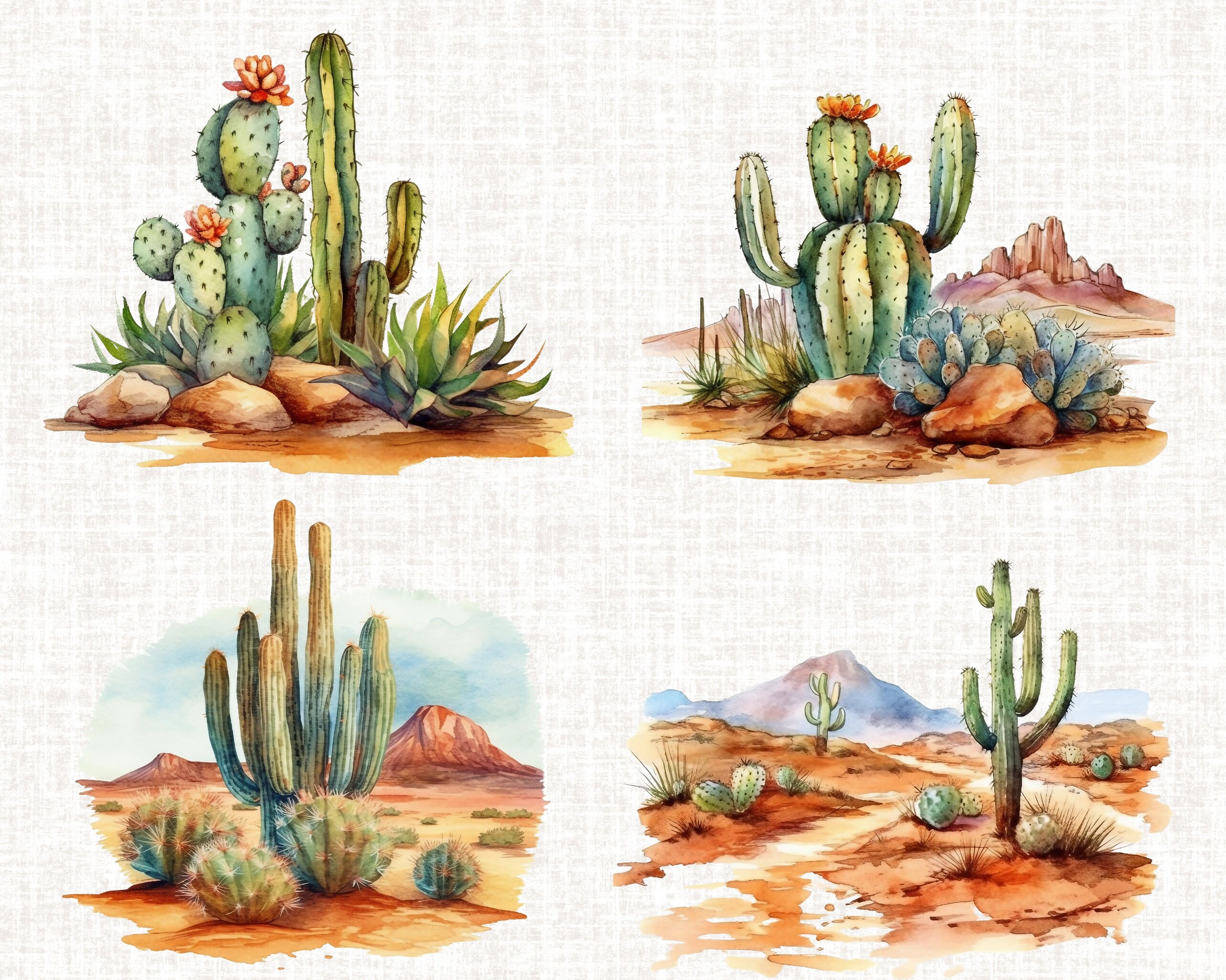 Cactus Clipart Bundle Watercolor Cactus PNG Cactus in the - Etsy