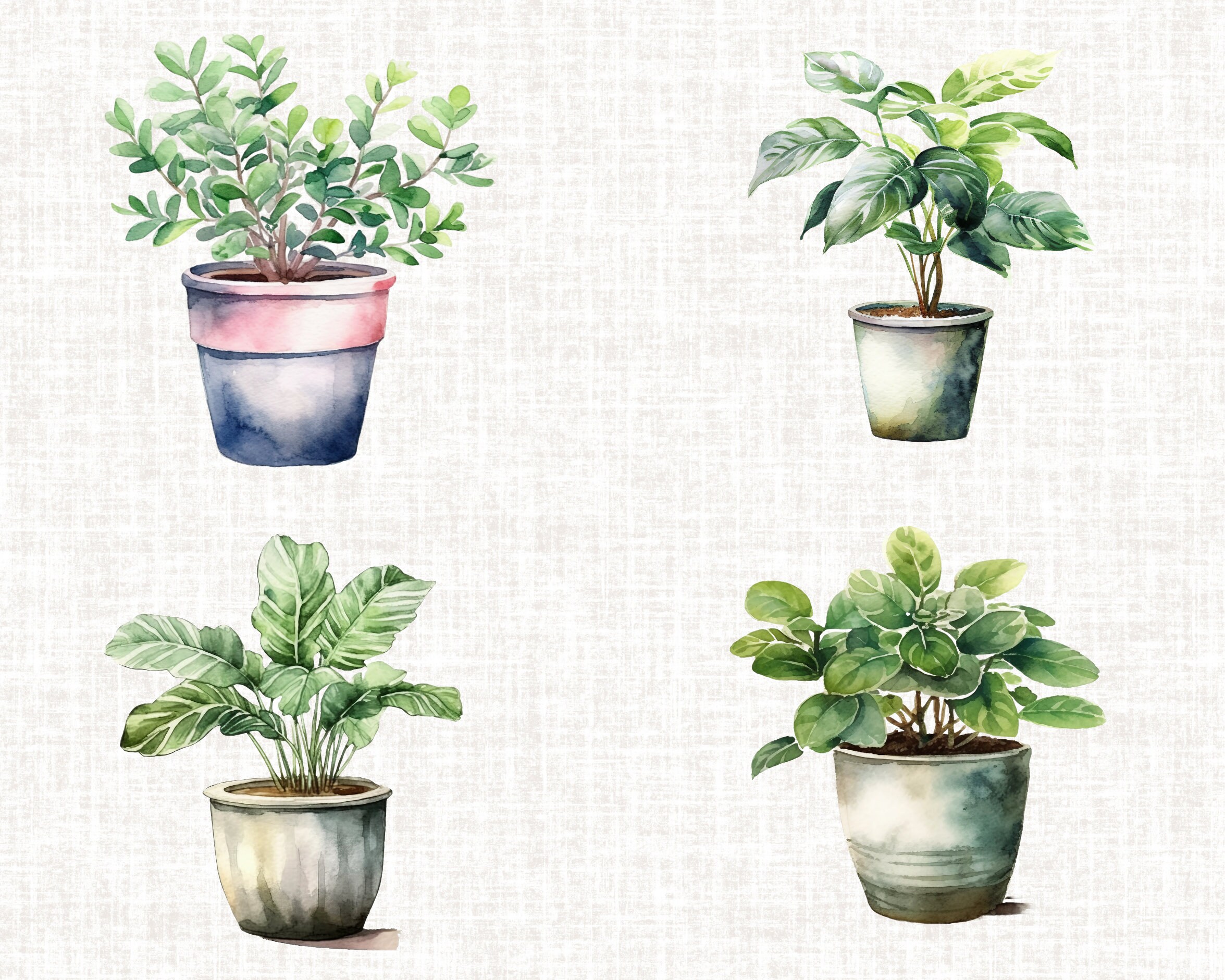 Potted Plant Clipart Bundle Watercolor House Plants Clipart - Etsy