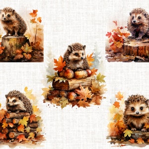 Autumn Hedgehog Clipart Bundle Happy Hedgehog Clipart Cute - Etsy