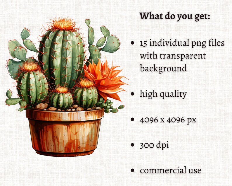 Potted Cacti Clipart Bundle Watercolor Cactus Clipart Cactus - Etsy
