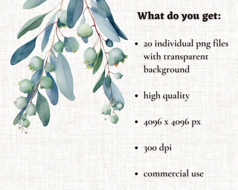 Eucalyptus Clipart Bundle Greenery Clipsrt Foliage PNG - Etsy