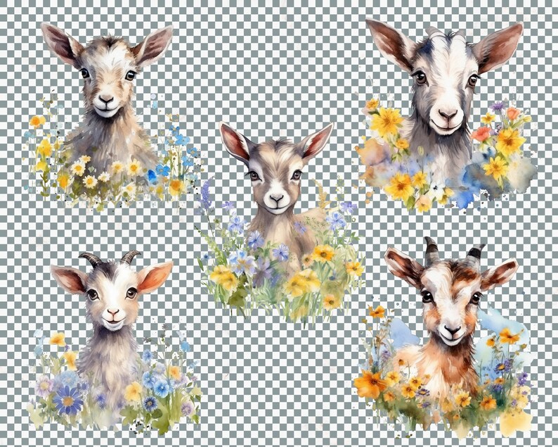 Baby Goat Clipart Watercolor Floral Goats in the Meadow - Etsy