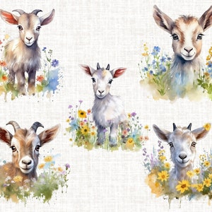 Baby Goat Clipart, Watercolor Floral Goats in the Meadow, Spring Baby ...