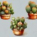 Potted Cacti Clipart Bundle Watercolor Cactus Clipart Cactus - Etsy