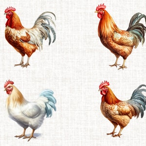 Chicken Clipart Bundle, Farm Animals PNG, Chick Graphics, Rooster ...