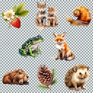 Woodland Animals Clipart Bundle Watercolor Forest Animal Clip Art ...