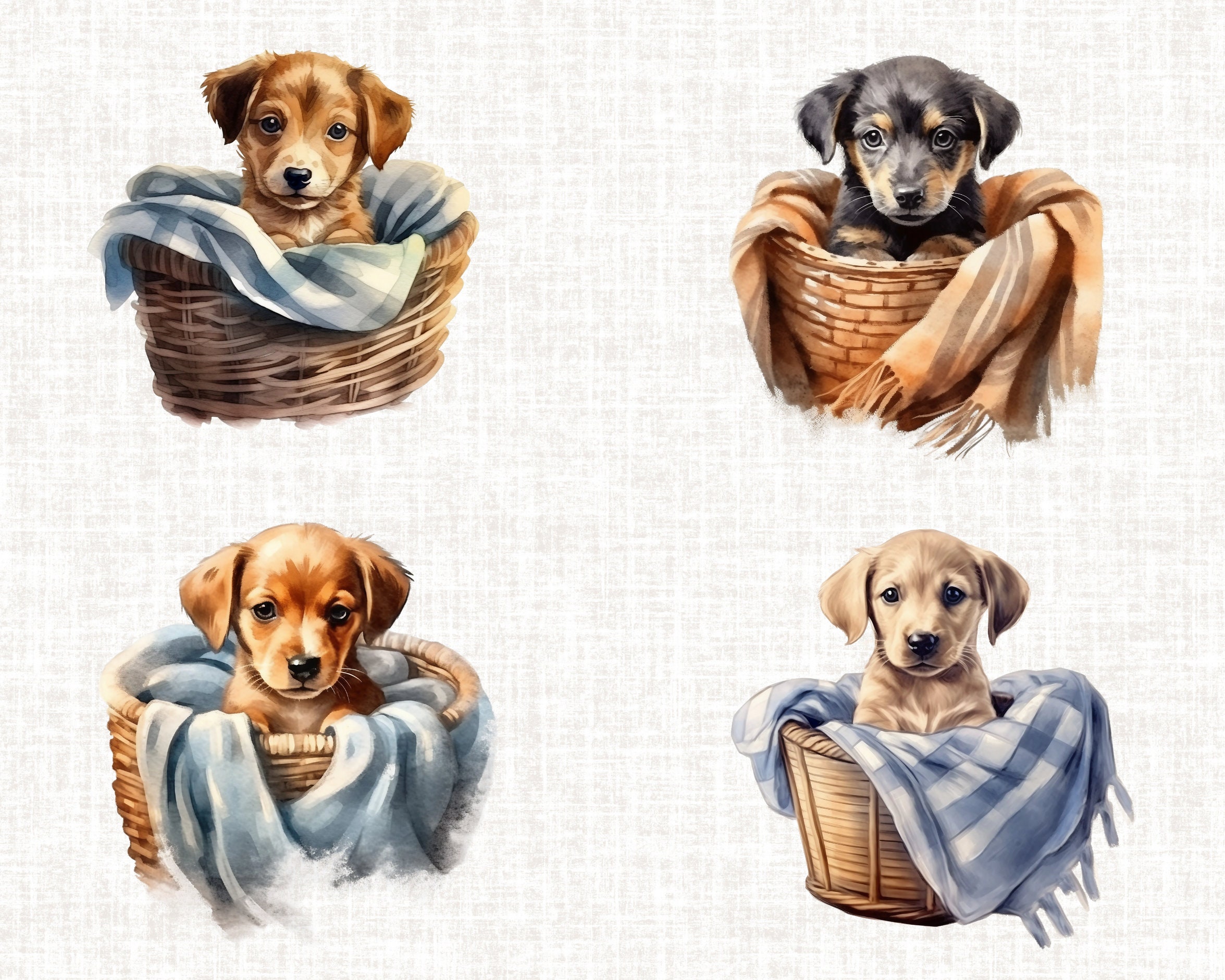 Cute Puppy Clipart Bundle Puppy in the Basket PNG Cute Dogs - Etsy