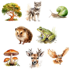 Woodland Animals Clipart Bundle Watercolor Forest Animal Clip Art ...